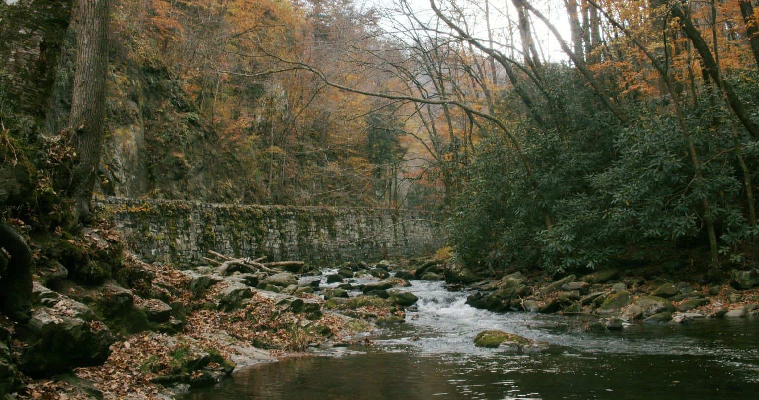 Great Smoky Mountains RV Camping & Things To Do | RV Today